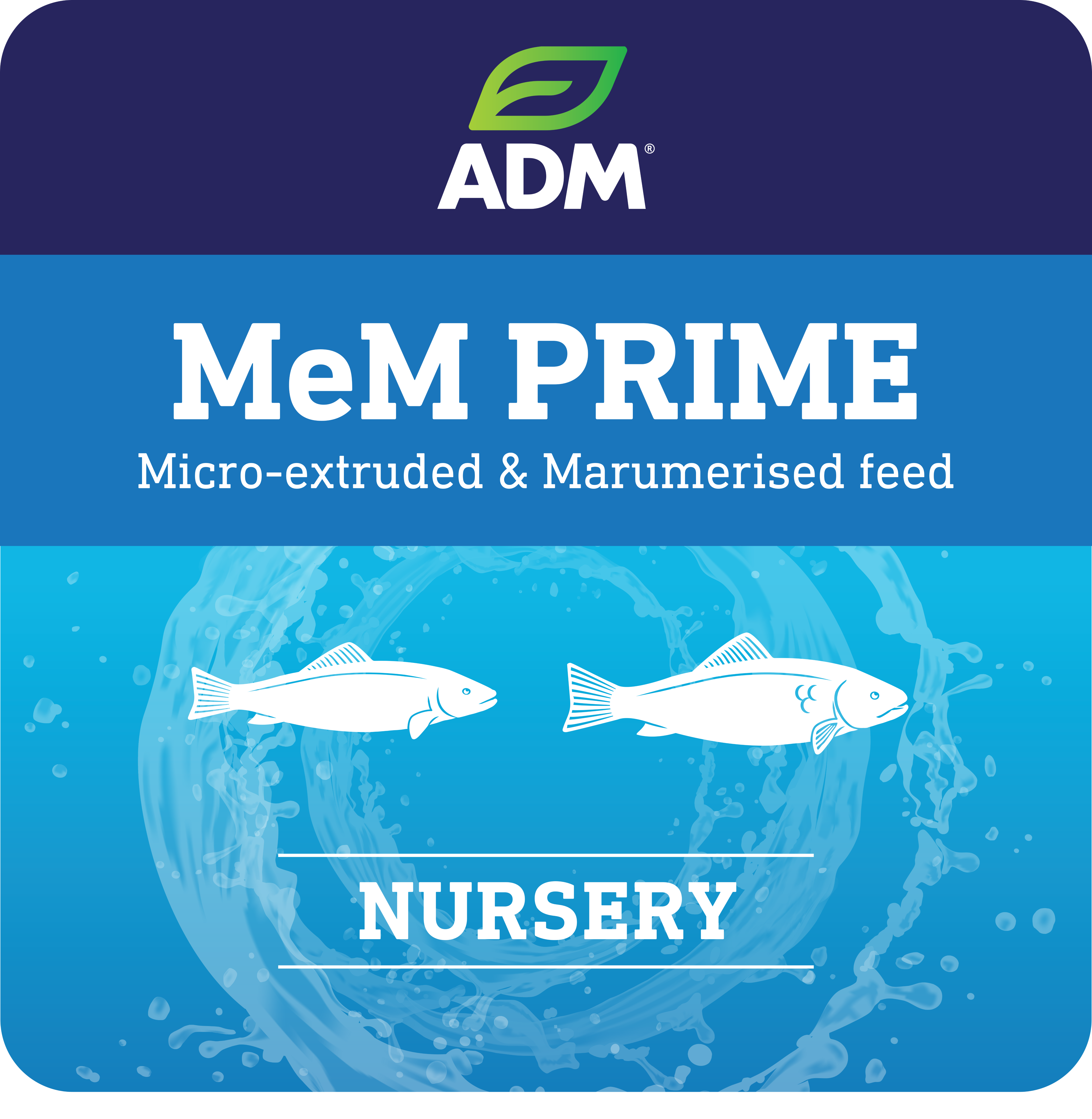 Mem_prime_2025.png?v=1737976828